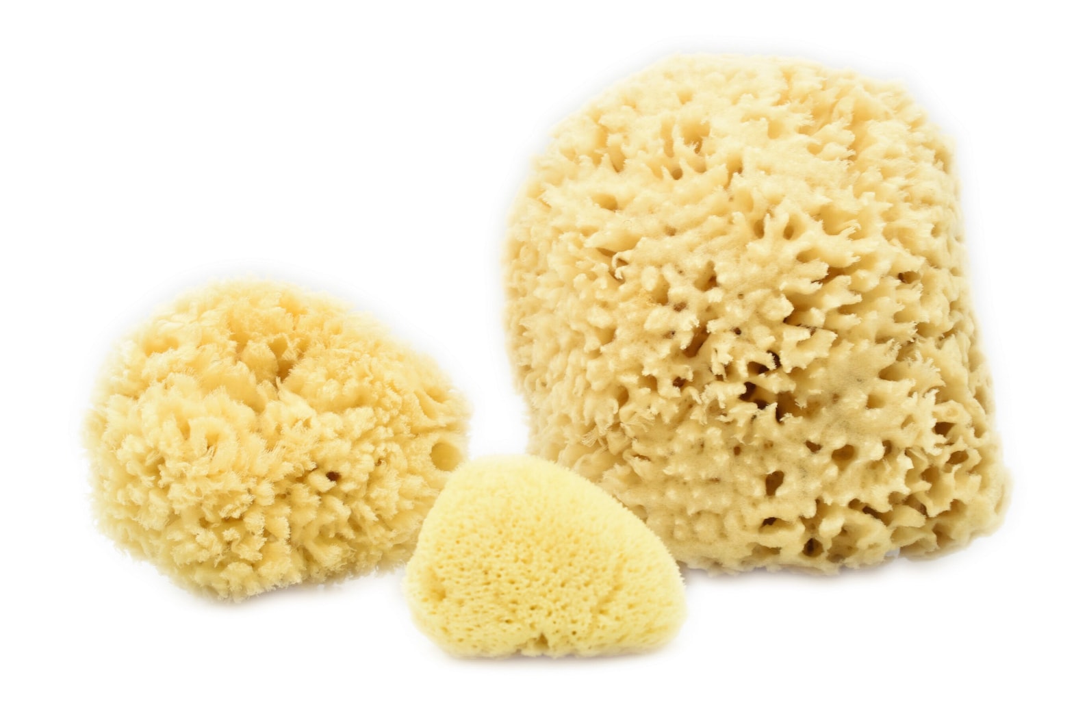 Natural Sea Sponge | Premium Sheepswool - Etsy