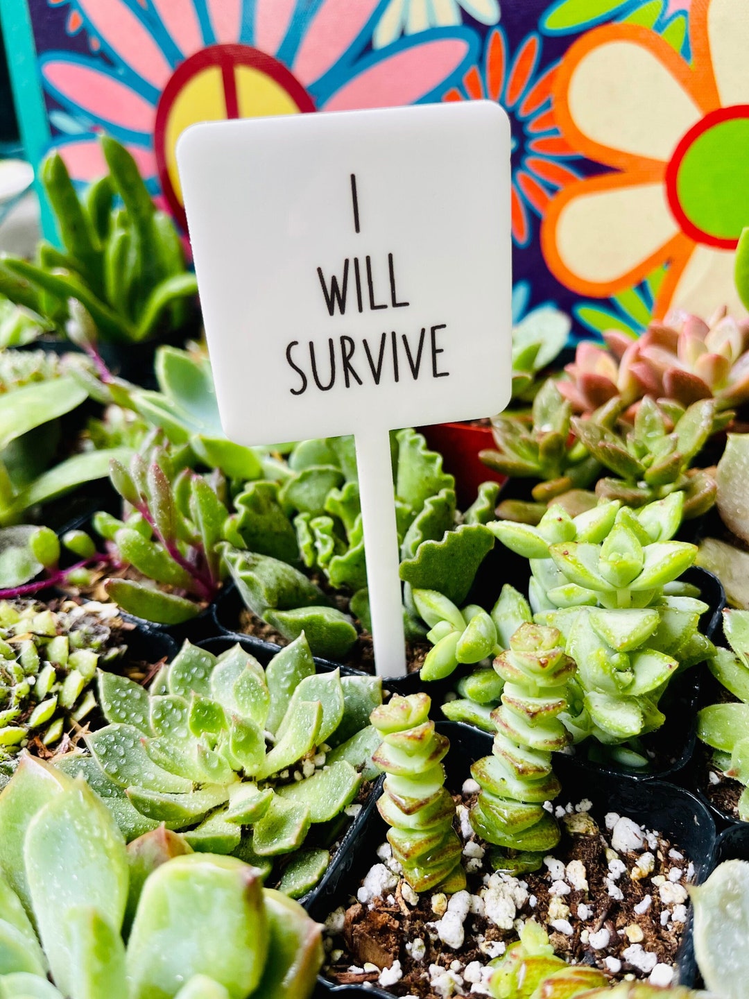 I Will Survive Plant Marker - Etsy