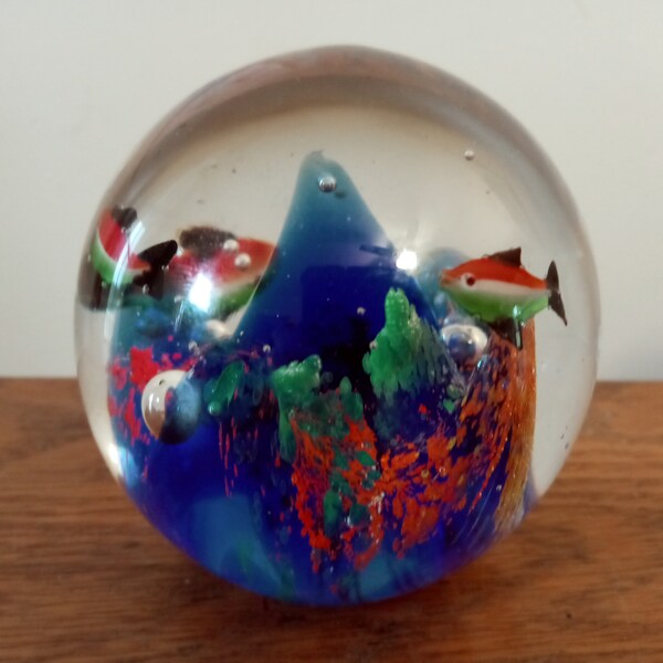 Unusual Fish Art - Etsy