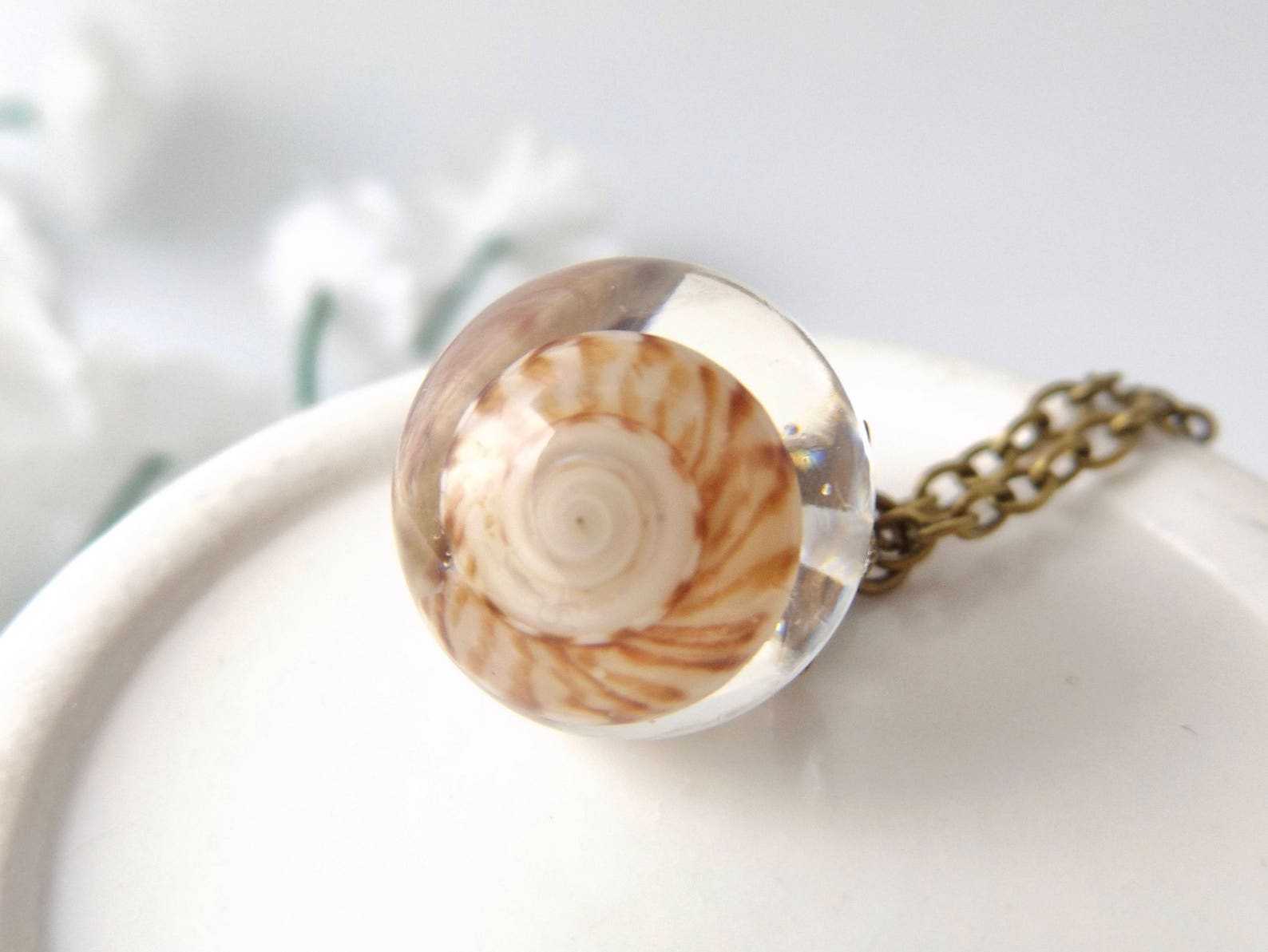 Real Seashell Necklace Beach Jewellery. Real Seashell Jewellery ...