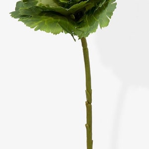 Fake Mini Ornamental Cabbage, Fake Cabbage, Fake Food, Floral Cabbage ...
