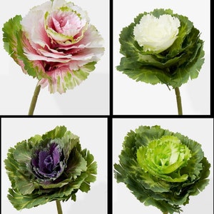 Fake Mini Ornamental Cabbage, Fake Cabbage, Fake Food, Floral Cabbage ...
