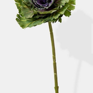 Fake Mini Ornamental Cabbage, Fake Cabbage, Fake Food, Floral Cabbage ...