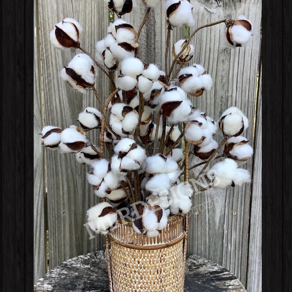 Cotton Arrangements - Etsy