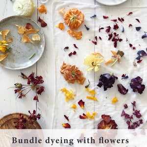Plant Dye Zine Ebook, Rebecca Desnos Ebook, Natural Dye Book, Plant ...