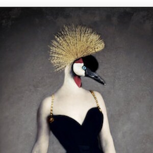 Bird Art Anthropomorphic Bird Print Animals in Clothes Wall Art Avant ...