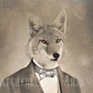 Coyote Art Animals in Clothes Rustic Home Decor | Etsy