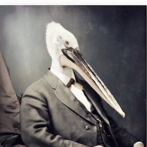 Pelican Art Print Animal Art Anthropomorphic Animals in Clothes Bird ...