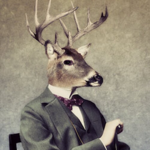 Lamb Art Print Animal Art Anthropomorphic Animals in Clothes - Etsy