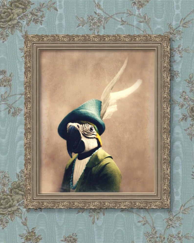 Parrot Art Print Bird Photography Anthropomorphic Animals in Clothes ...