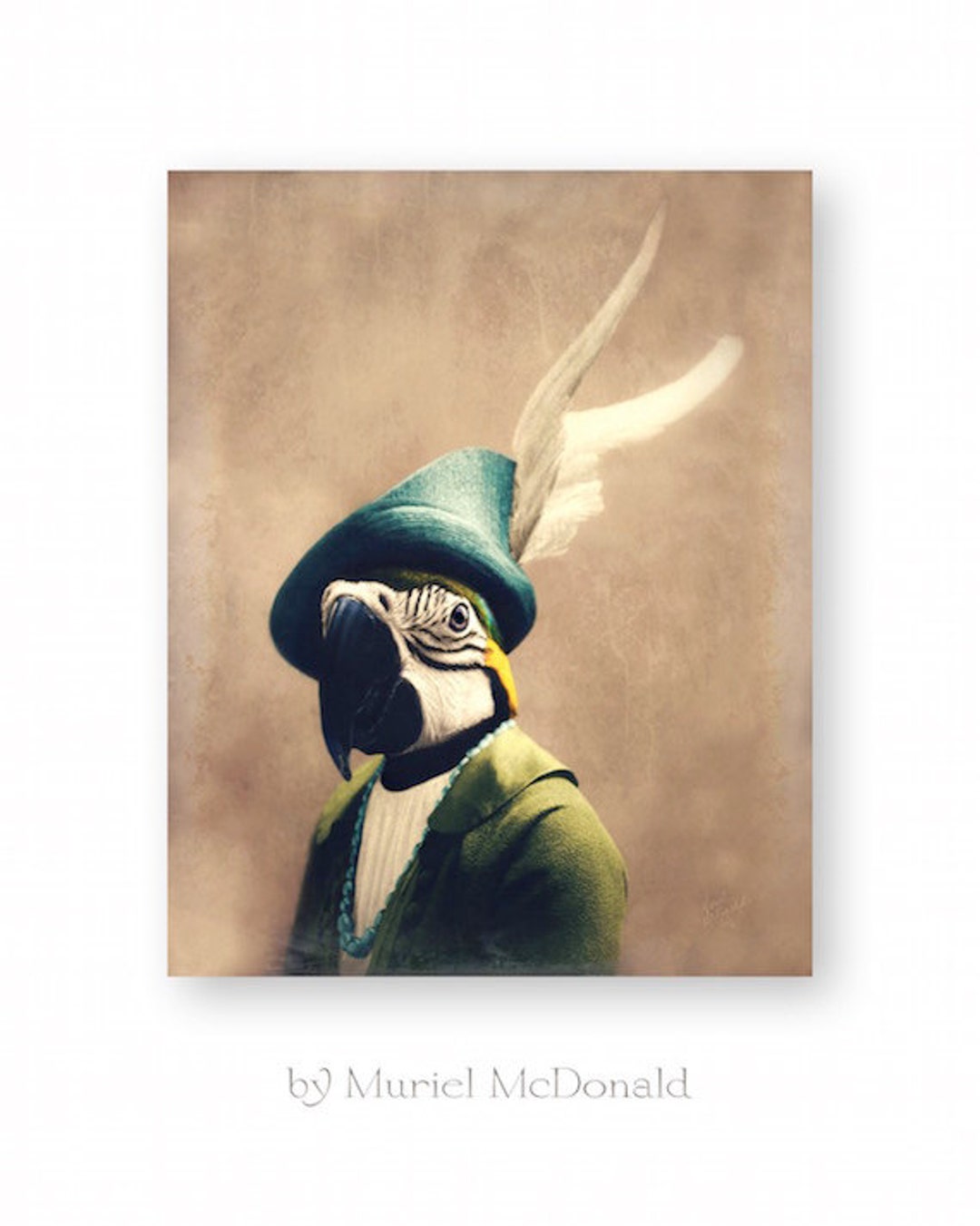 Parrot Art Print Bird Photography Anthropomorphic Animals in Clothes ...