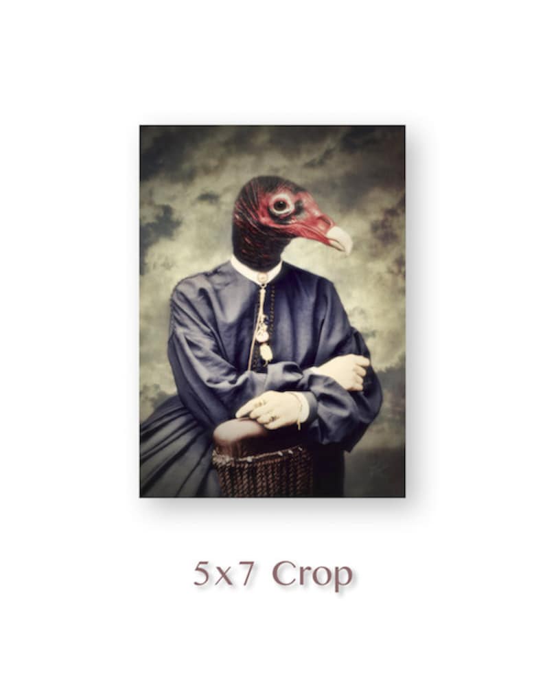 Vulture Art Print Bird Print Turkey Vulture Wall Art Animals - Etsy