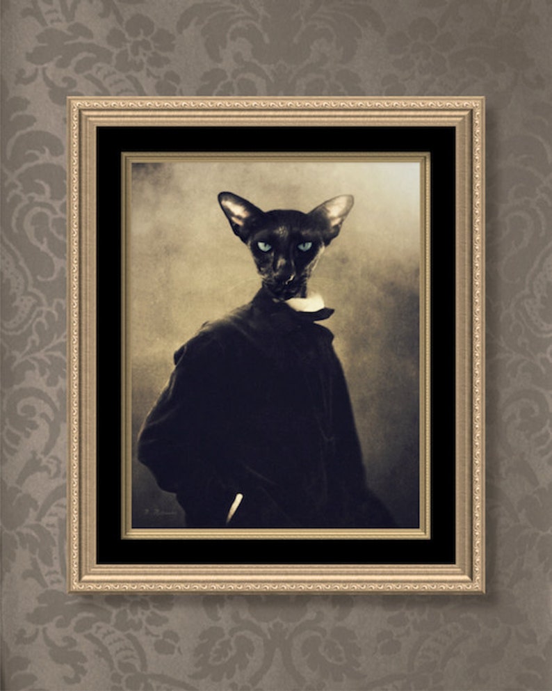 Victorian Black Cat Print, Gothic Animal Portrait, "othello" - Etsy