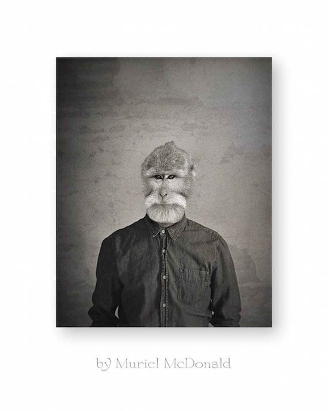 Unique Animal Print Monkey Art Animals as People Art Gift for Him Black ...