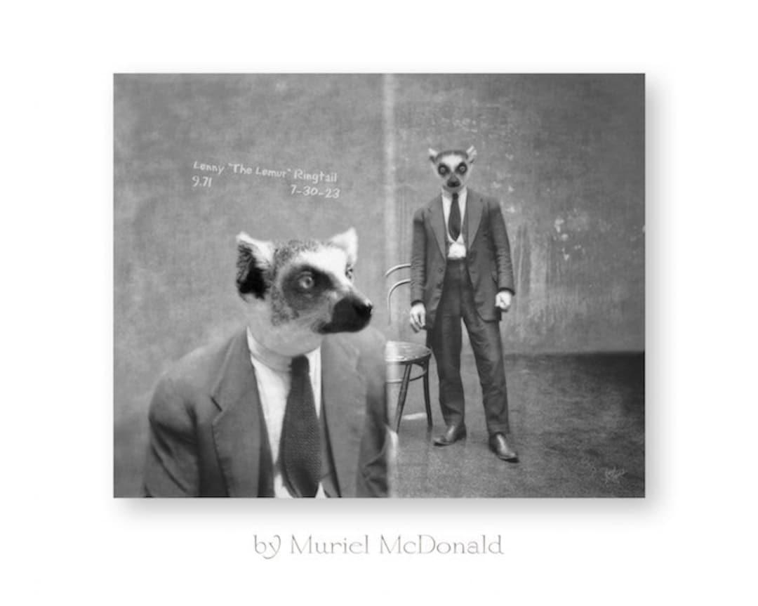 Unique Animal Art Print Lemur Animals in Clothes Anthropomorphic Black ...