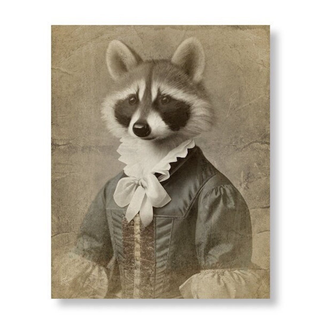 Raccoon Art Print Farmhouse Wall Decor Rustic Country Animal Artwork ...