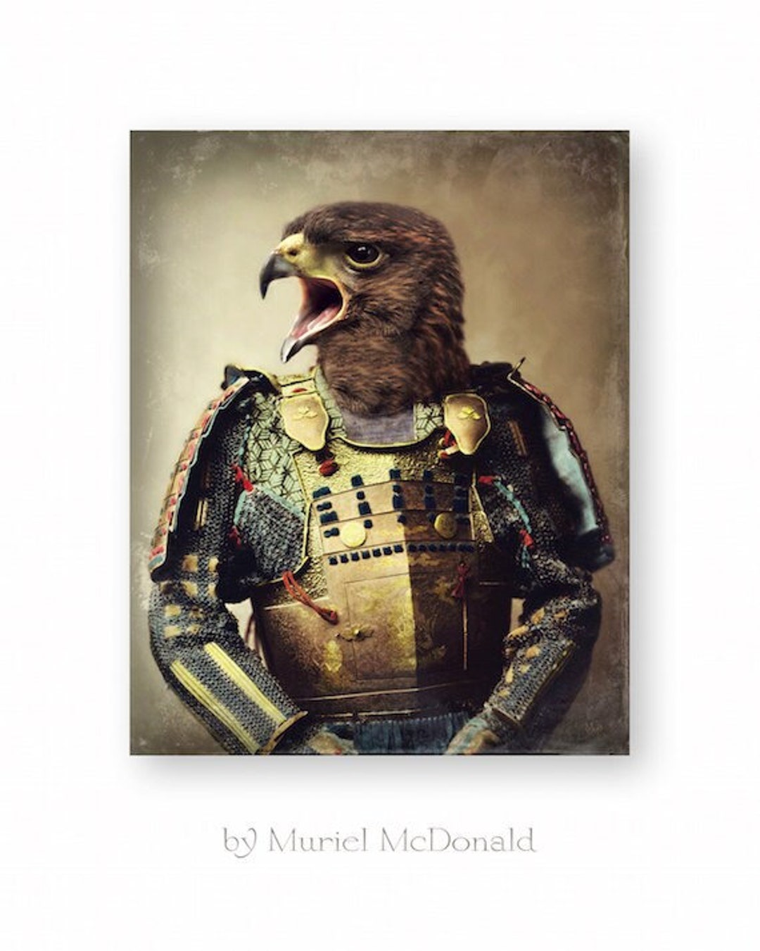Hawk Art Print Bird Art Animals in Clothes Anthropomorphic Samurai Art ...