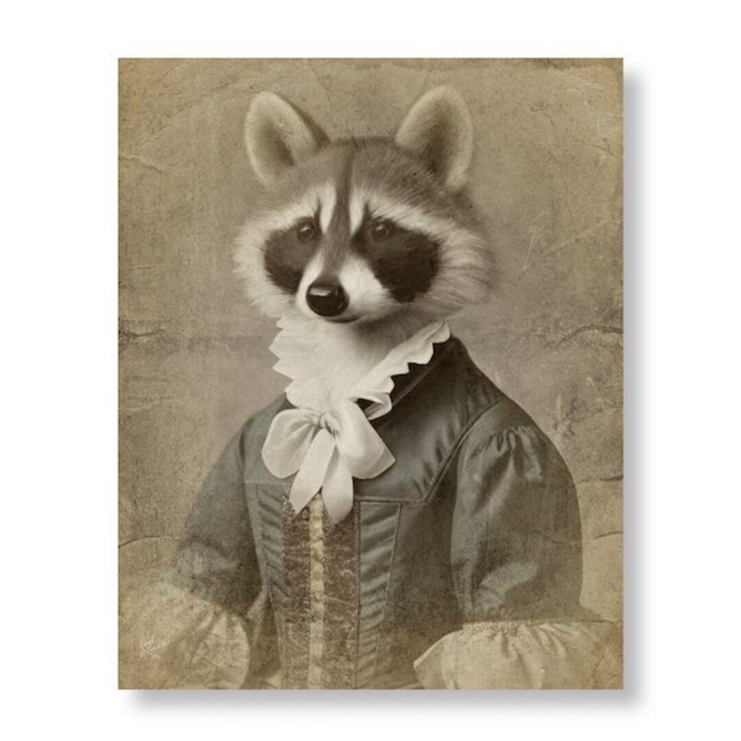 Raccoon Art Print Farmhouse Wall Decor Rustic Country Animal - Etsy
