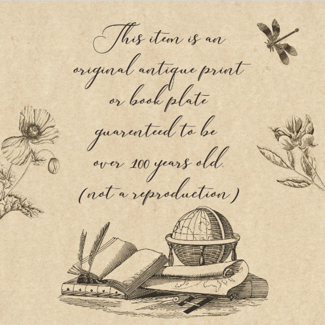 Blue Jay Canada Jay Antique Bird Print Original Hand - Etsy