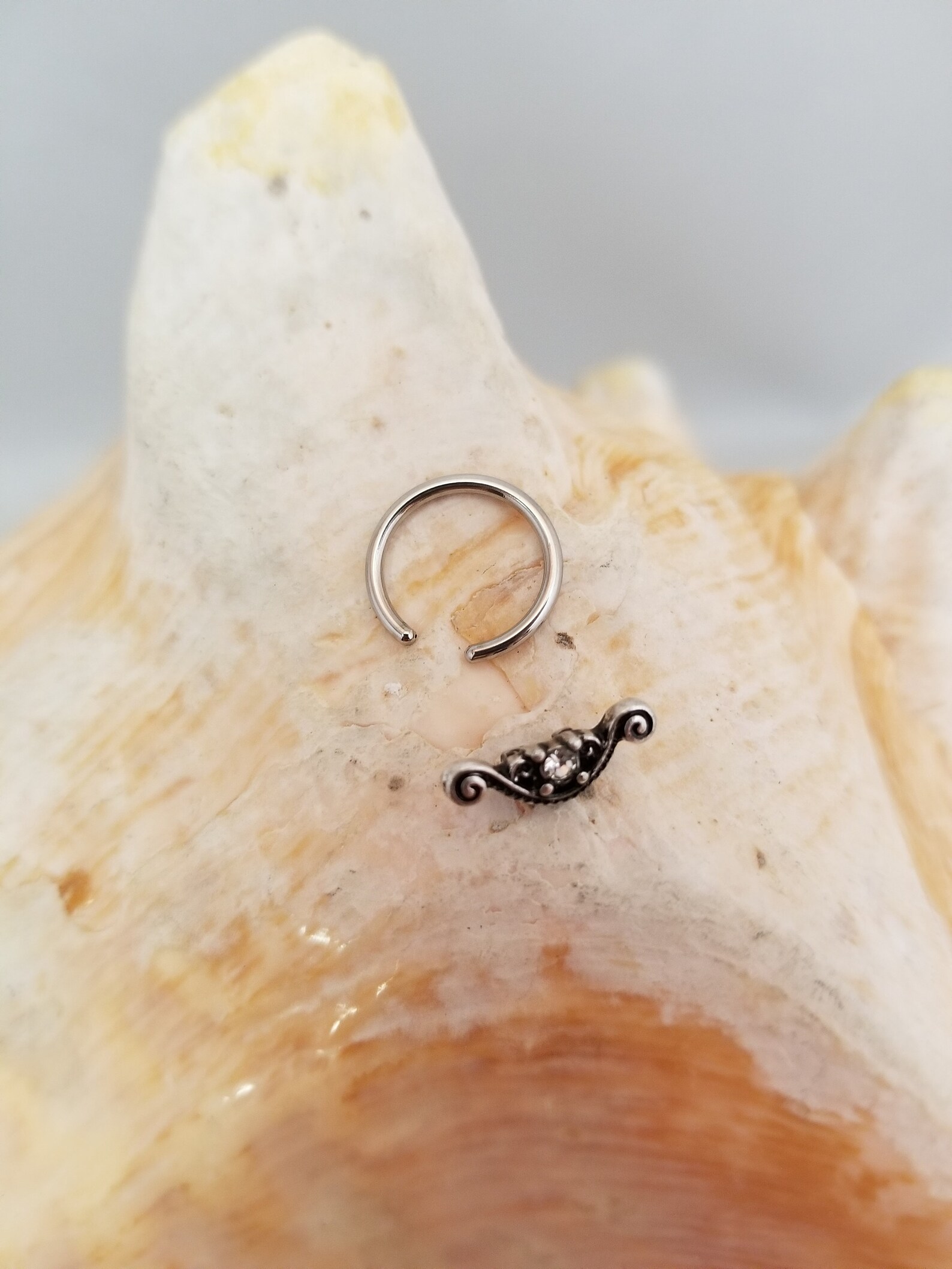 16G Ornate Captive Bead Ring/septum Ring With Clear Round CZ - Etsy