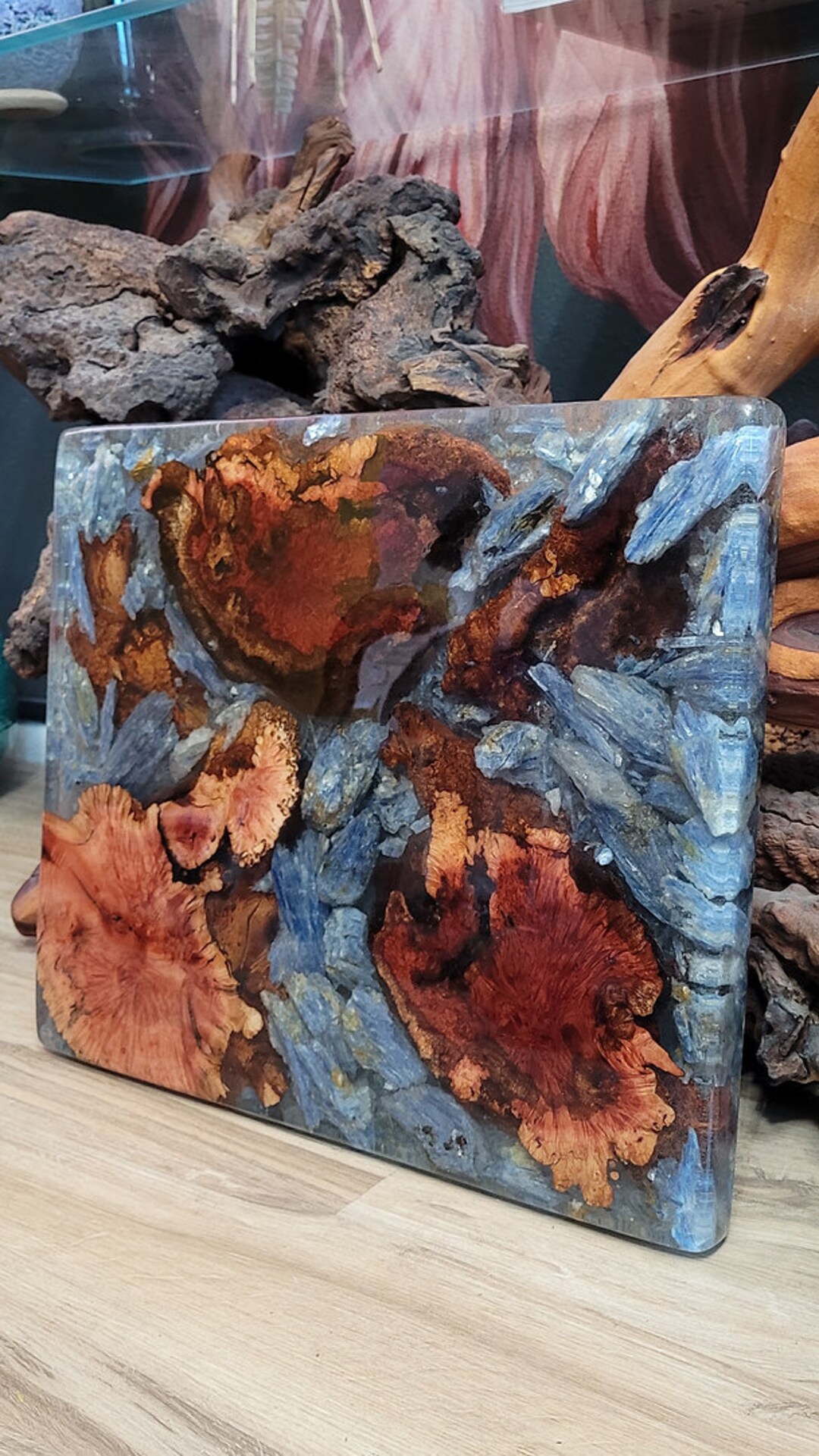 Table Centerpiece Manzanita Burl + Kyanite Mineral Gemstone 18.75x16x1 ...
