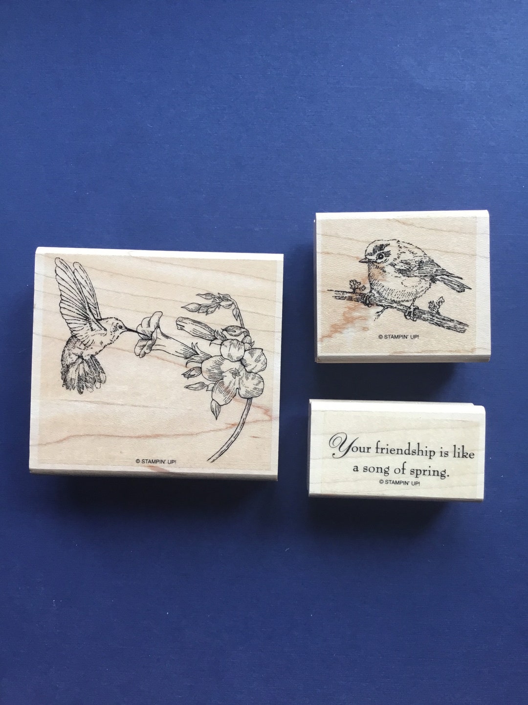 Spring Song Stampin' up Stamp Set, Wood Mounts, Hummingbird, Flowers ...