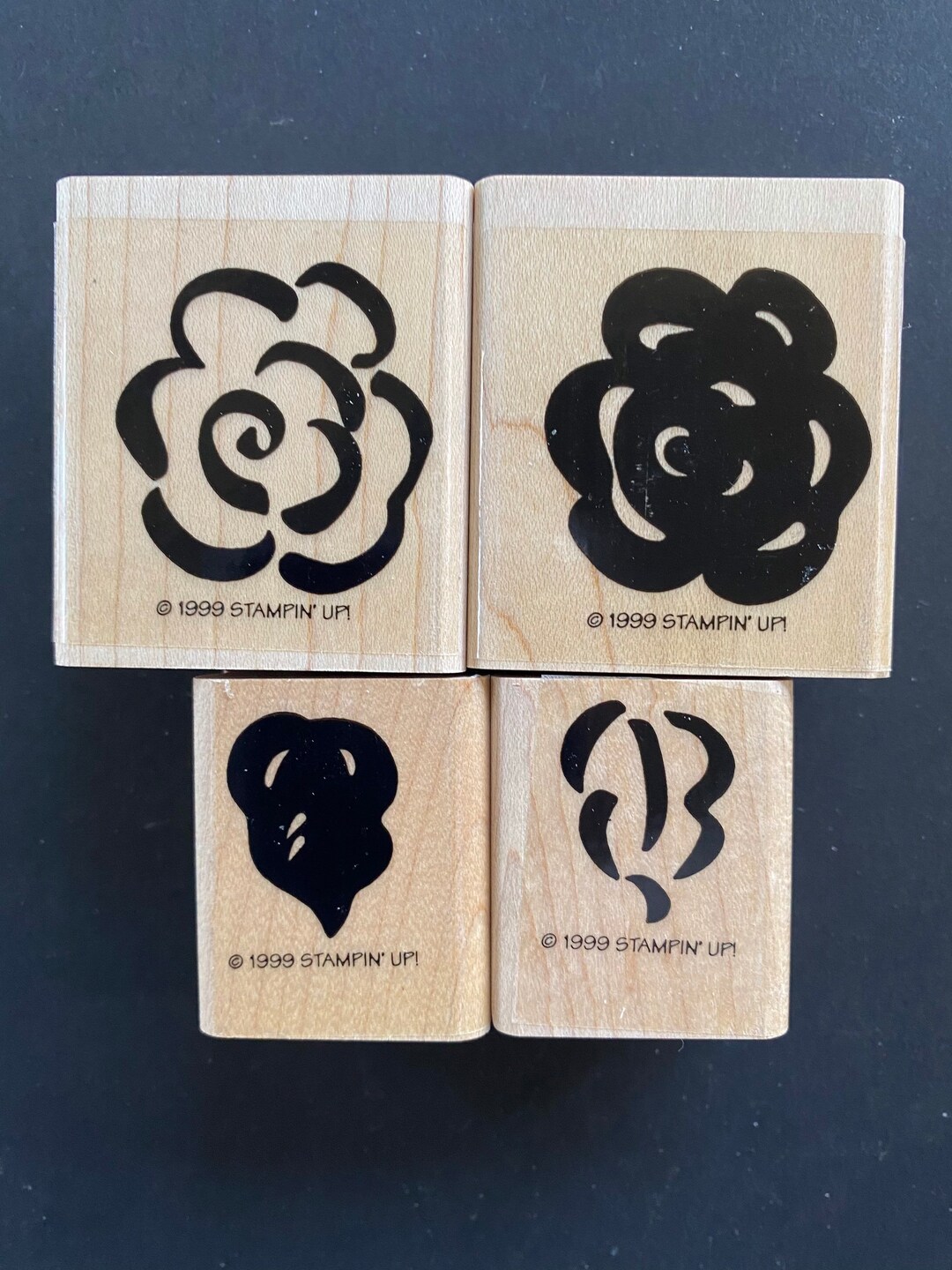 Brushstroke Blossoms Stampin up Stamp Set, Flowers, Two Step Stampin ...