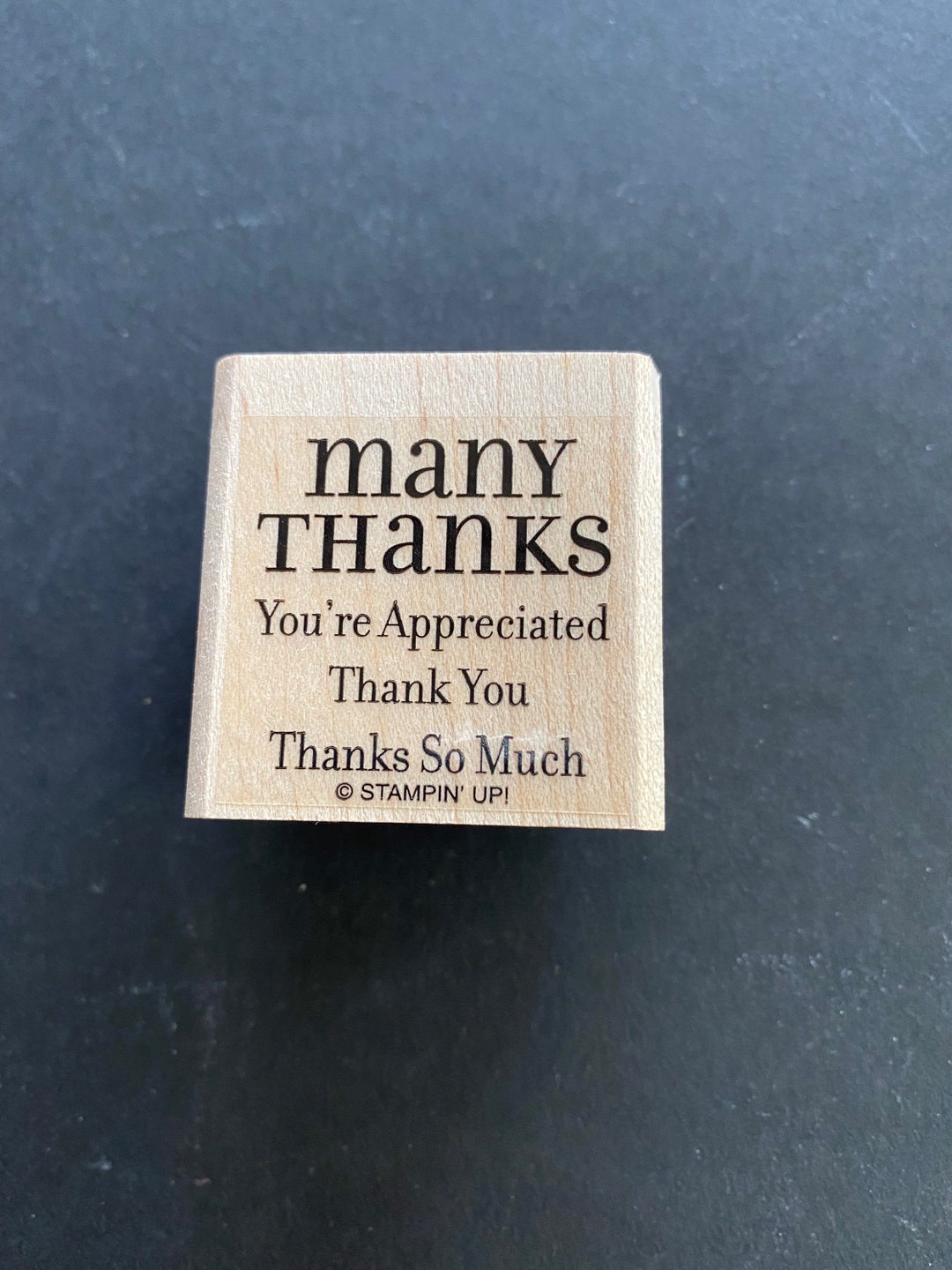 Many Thanks Stamp by Stampin up From Lots of Thoughts Set, Thank You ...