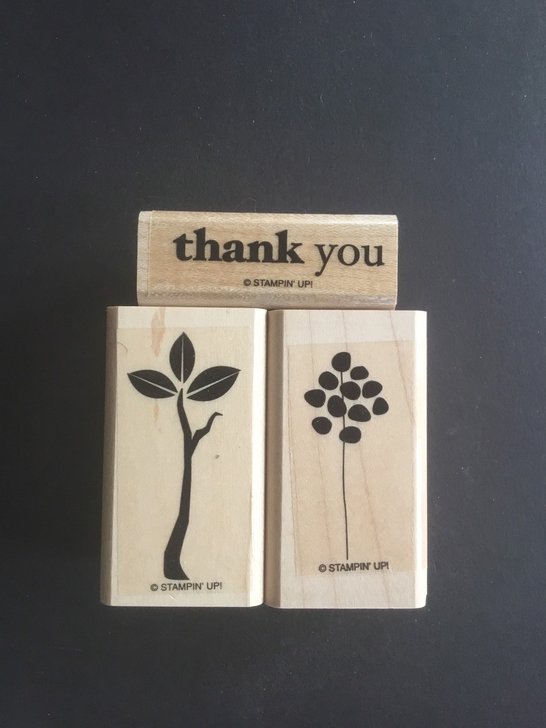 Spring Solitude Stampin up Stamp Set, Flowers, Thank You, for Card ...