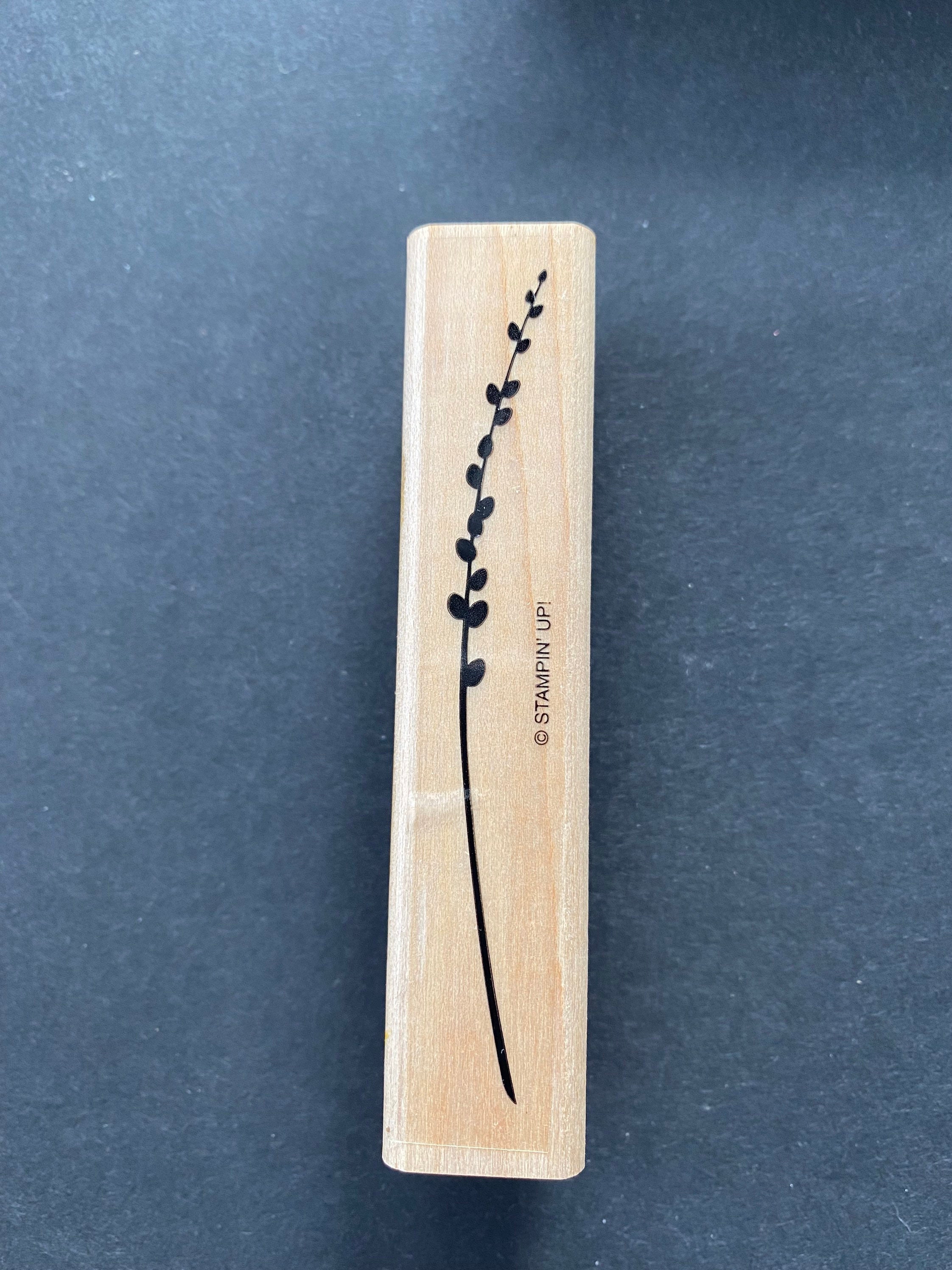 Papercraft Tools Autumn Days wood mount Grass stem Stampin Up stamp ...