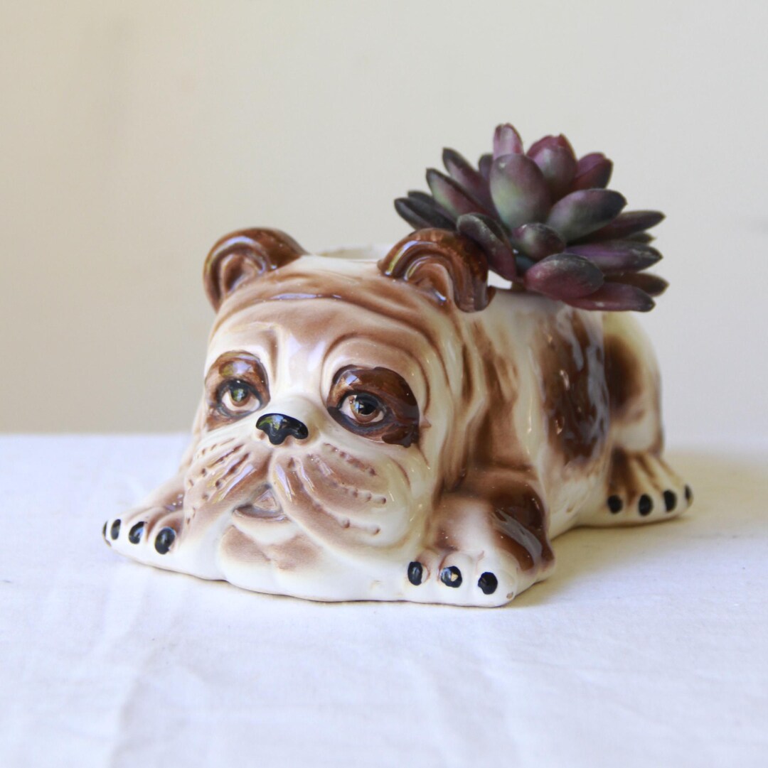 Vintage Ceramic Planter - Bulldog Planter Pot - Dog Novelty Ceramics ...