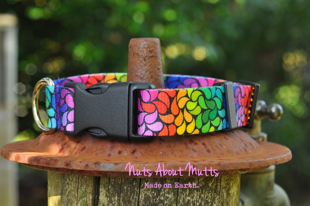 Kaleidoscope Bright and Colourful Dog Collar Med, Large - Etsy