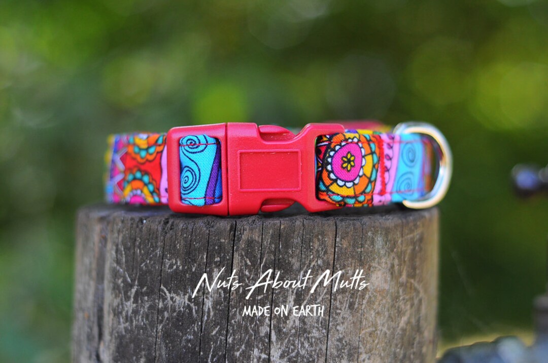 Bella Cotton Dog Collar Med, Large, XL With Free Sun Charm - Etsy Australia