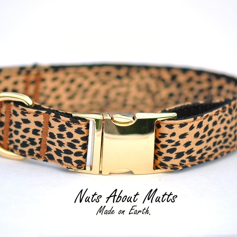 Leopard Dog Collar - Etsy