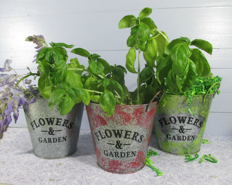 Flower Garden Tin Bucket Hand-painted Red Shabby Chic Rustic Wedding ...