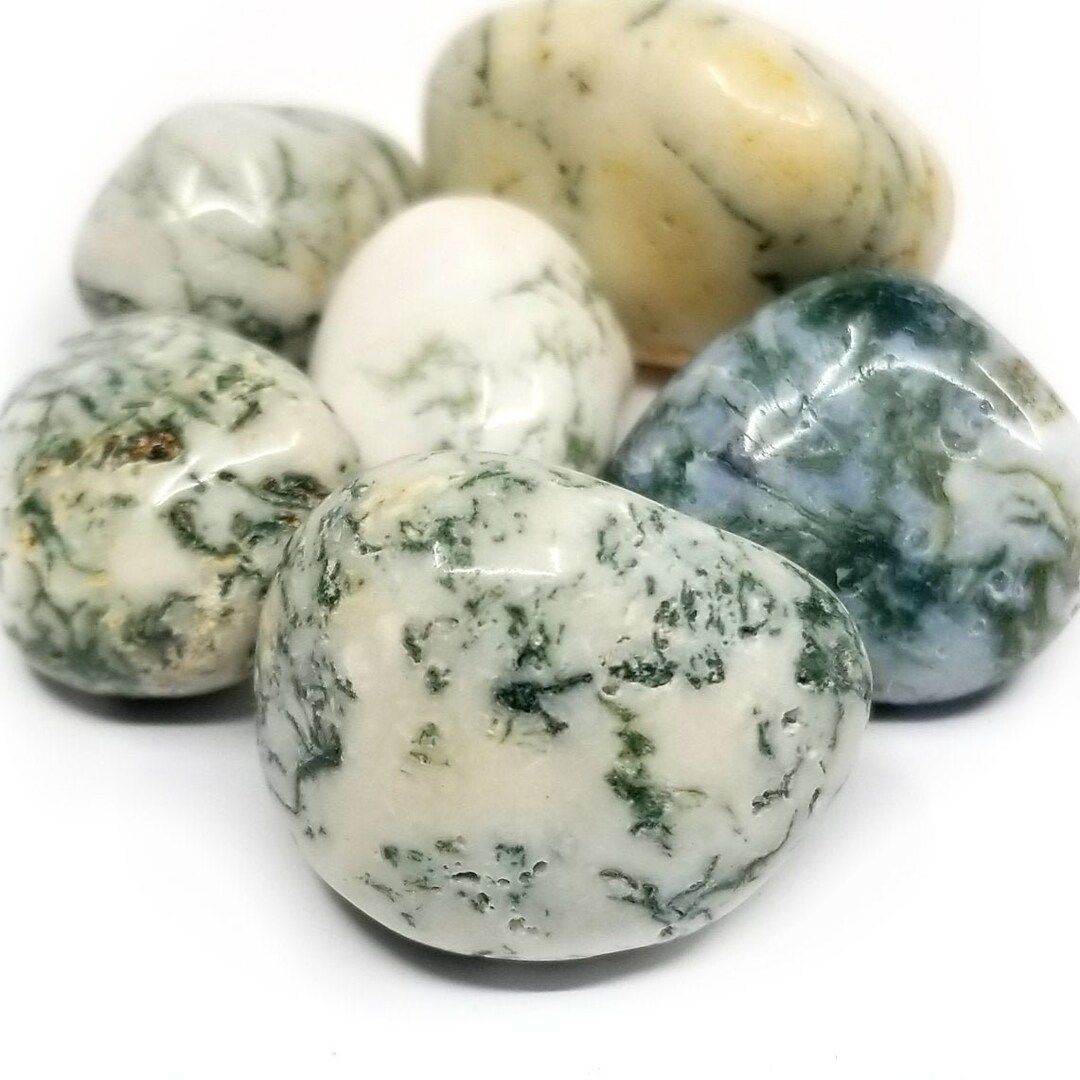 Tree Agate Tumbled Stone - Etsy