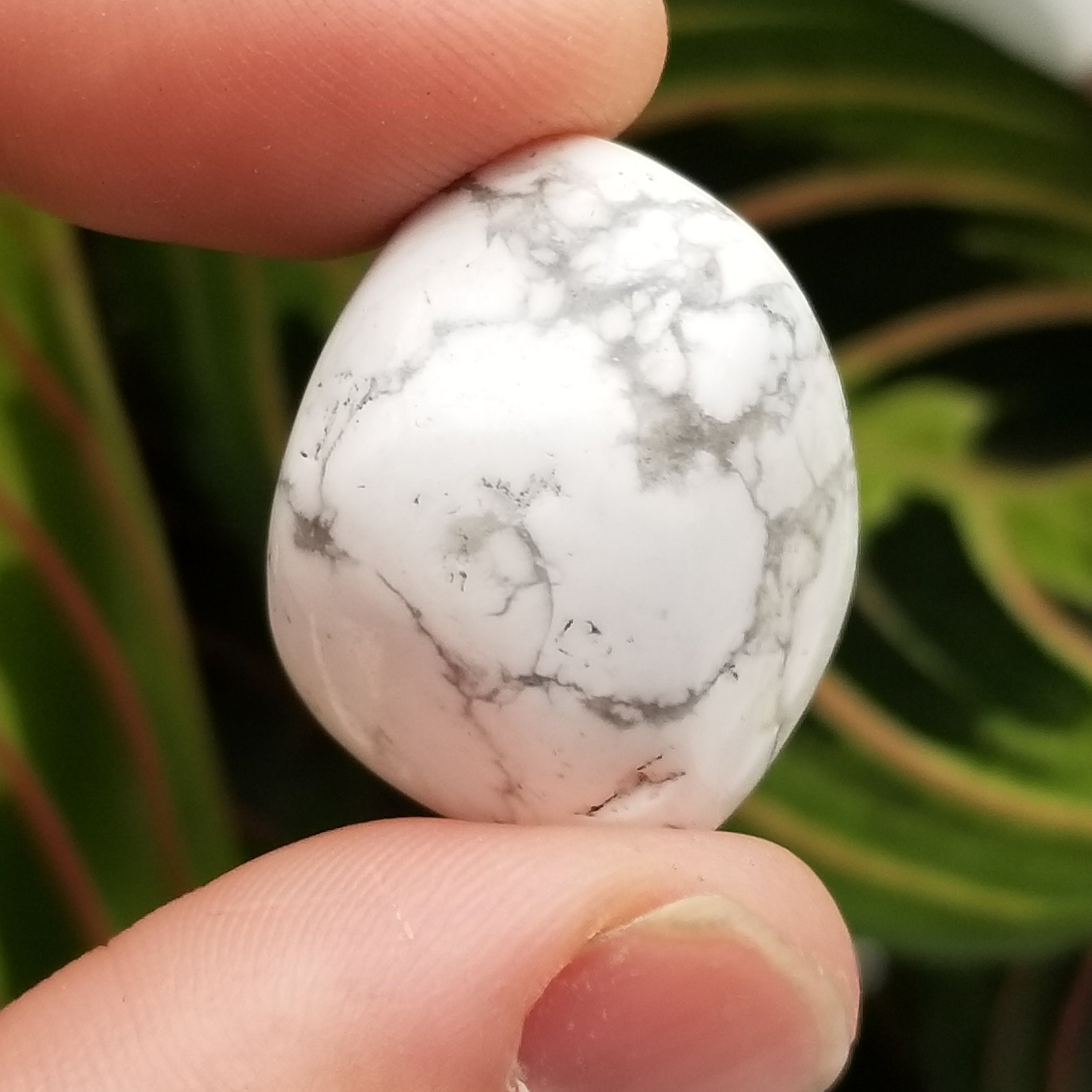 Howlite Tumbled Stone - Etsy