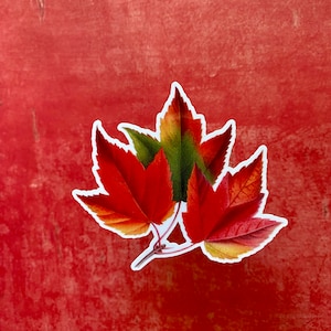 Pack of 15 Waterproof Vinyl Vintage Leaves Stickers, Retro Autumn Fall ...