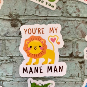 Pack of 8 Waterproof Vinyl Punny Phrase Stickers, Funny Pun Sticker ...