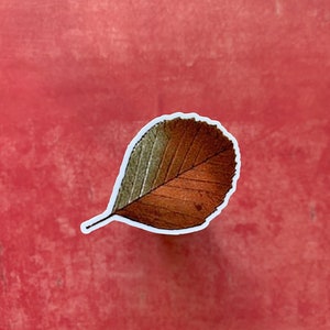 Pack of 15 Waterproof Vinyl Vintage Leaves Stickers, Retro Autumn Fall ...
