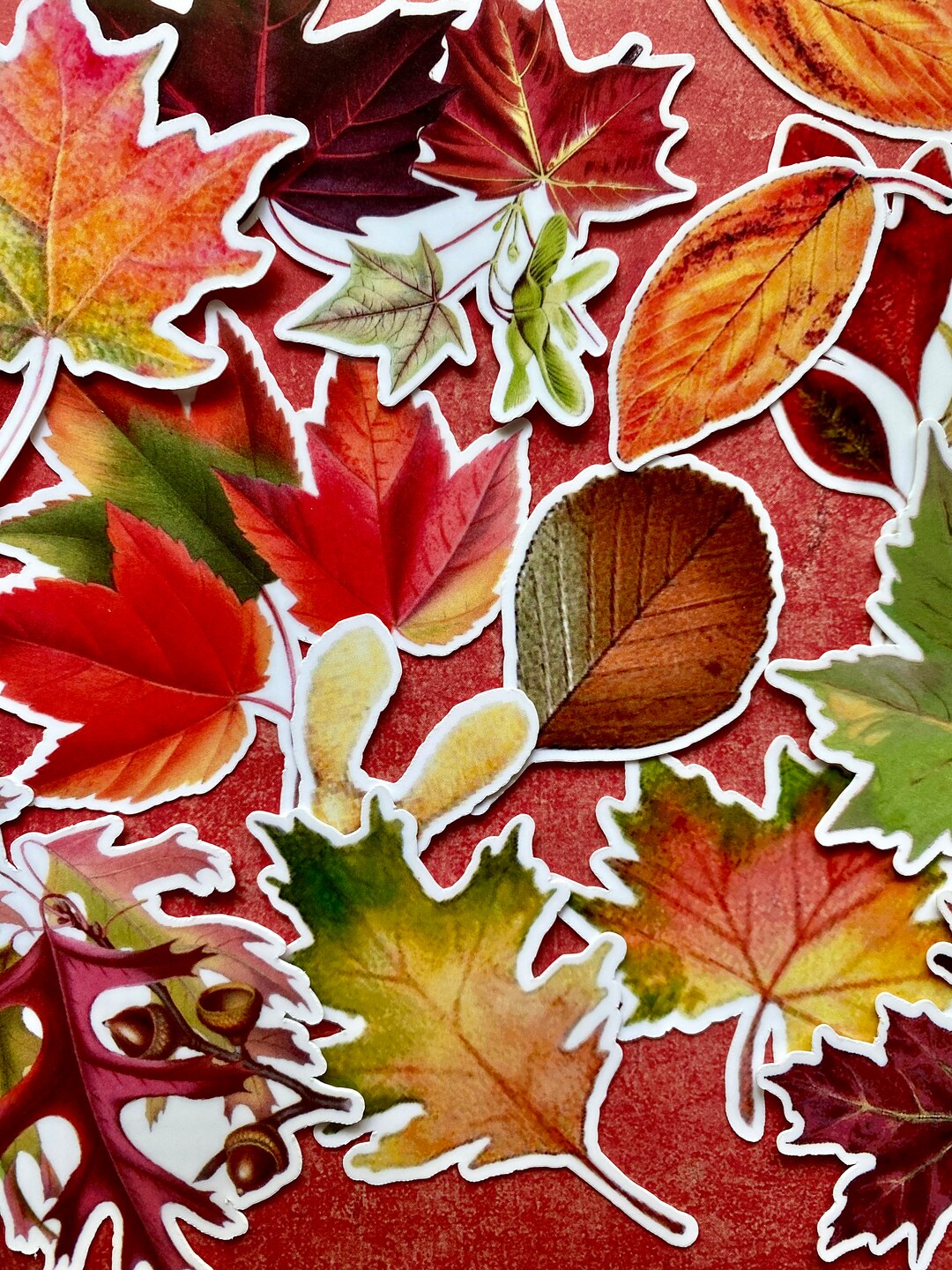 Pack of 15 Waterproof Vinyl Vintage Leaves Stickers, Retro Autumn Fall ...