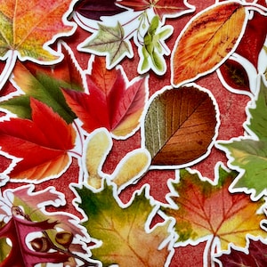 Pack of 15 Waterproof Vinyl Vintage Leaves Stickers, Retro Autumn Fall ...