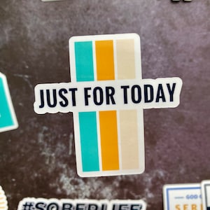 Pack of 17 Waterproof Vinyl Sobriety Stickers, Recovery Sticker Pack ...