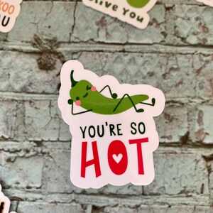 Pack of 8 Waterproof Vinyl Punny Phrase Stickers, Funny Pun Sticker ...