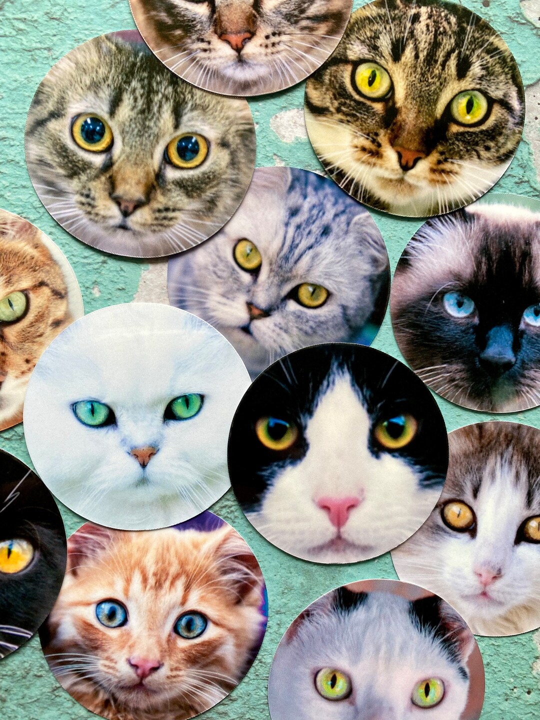 Pack of 12 Waterproof Vinyl Cute Cat Face Stickers, Feline Kitty ...