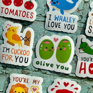 Pack of 8 Waterproof Vinyl Punny Phrase Stickers, Funny Pun Sticker ...