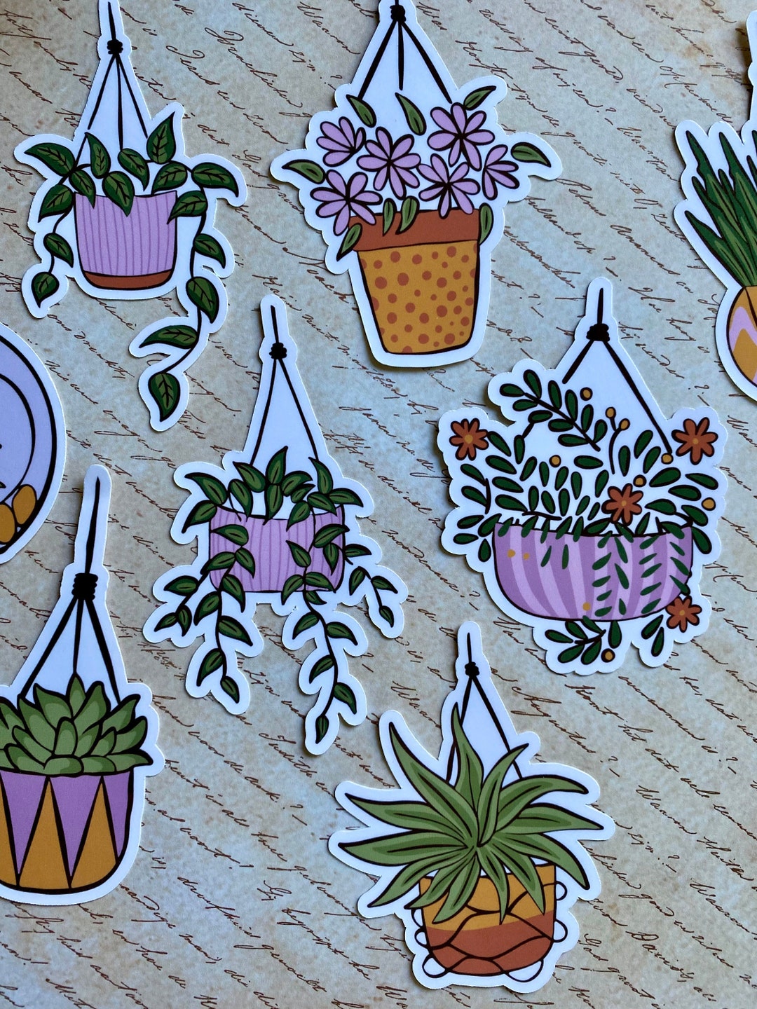 Pack of 8 Waterproof Vinyl Hanging Houseplant Stickers, Cute Plant ...