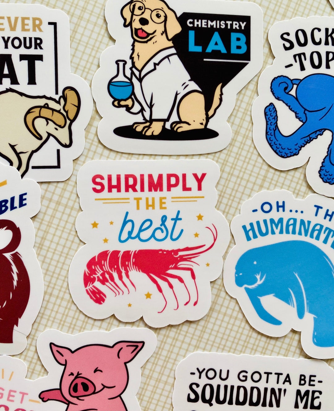 Pack of 10 Waterproof Vinyl Funny Animal Stickers, Cute Animal Sticker ...