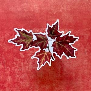 Pack of 15 Waterproof Vinyl Vintage Leaves Stickers, Retro Autumn Fall ...