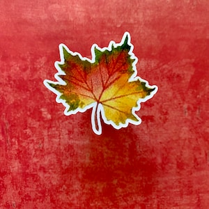 Pack of 15 Waterproof Vinyl Vintage Leaves Stickers, Retro Autumn Fall ...
